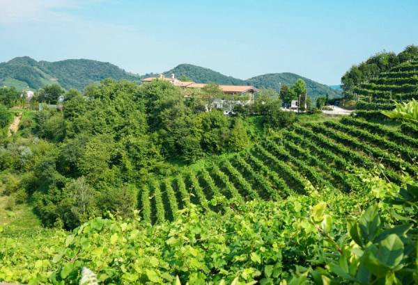 Bubbly Time! Guide to the Prosecco Road in Italy - Wandering Redhead
