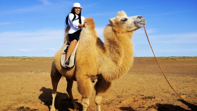 Meet Woni Spotts, The First Black Woman to Visit Every Country and All ...